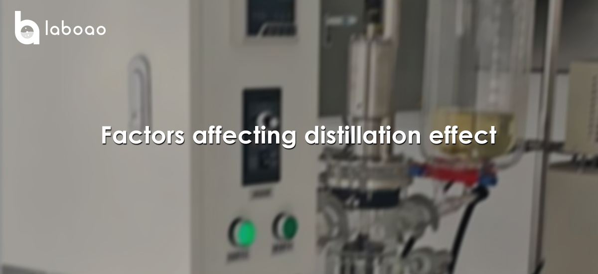 Explore The Factors Affecting The Distillation Effect In Molecular ...